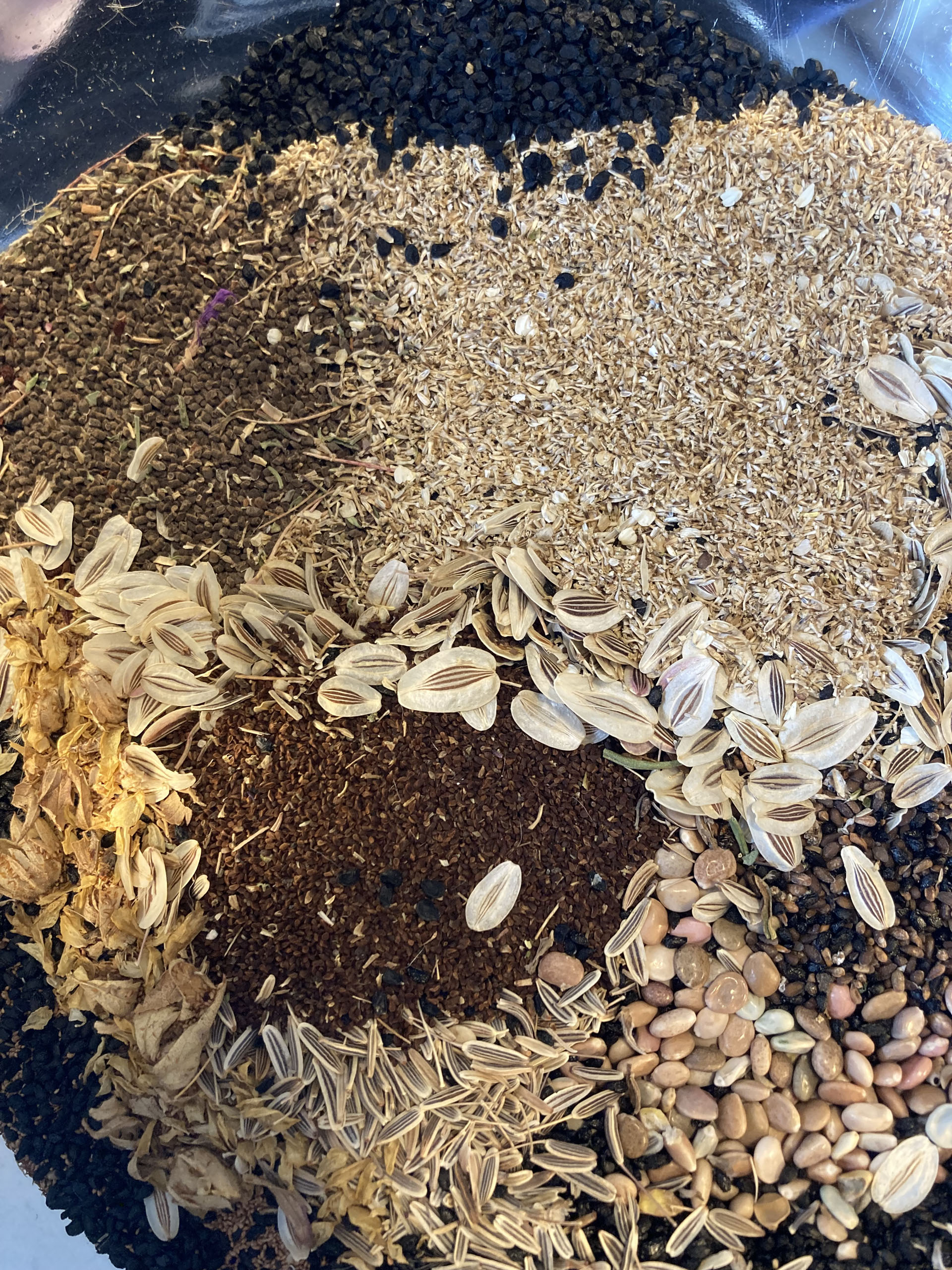 Plants are people too! - Kinseed Ecologies