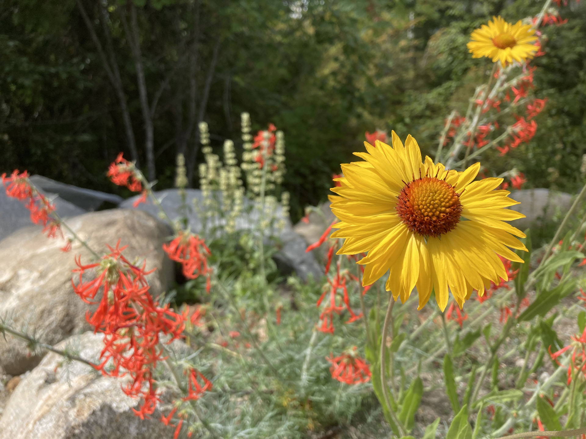 Our Services - Kinseed Ecologies - Environmental consulting, expertise ...