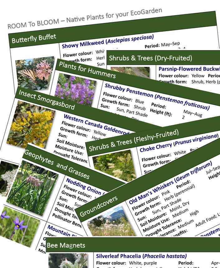 Nurturing Native Plants: Your Garden's 100-Mile Diet - Kinseed Ecologies