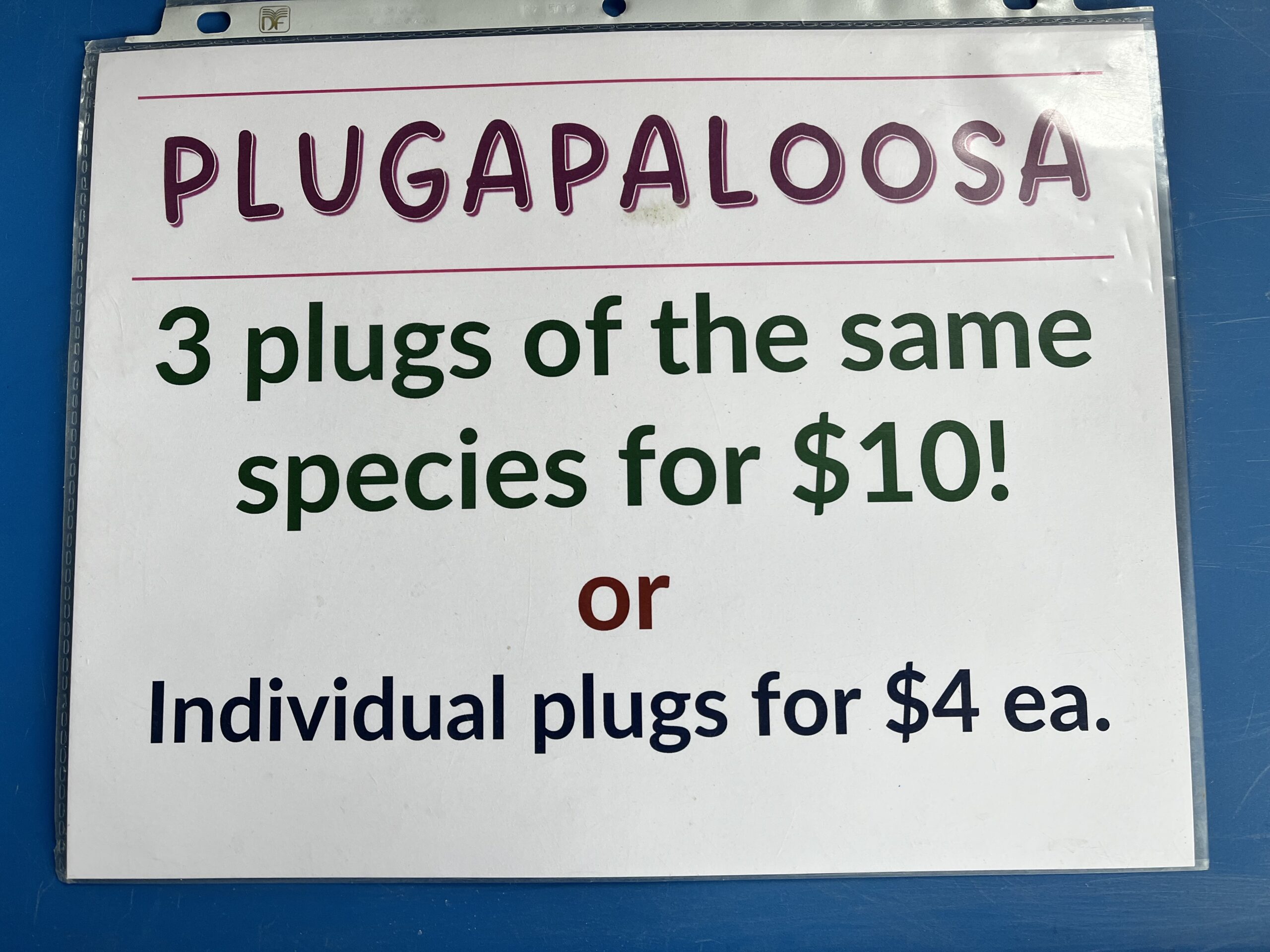 Plugapalooza - June 21, 2025 - Kinseed Ecologies